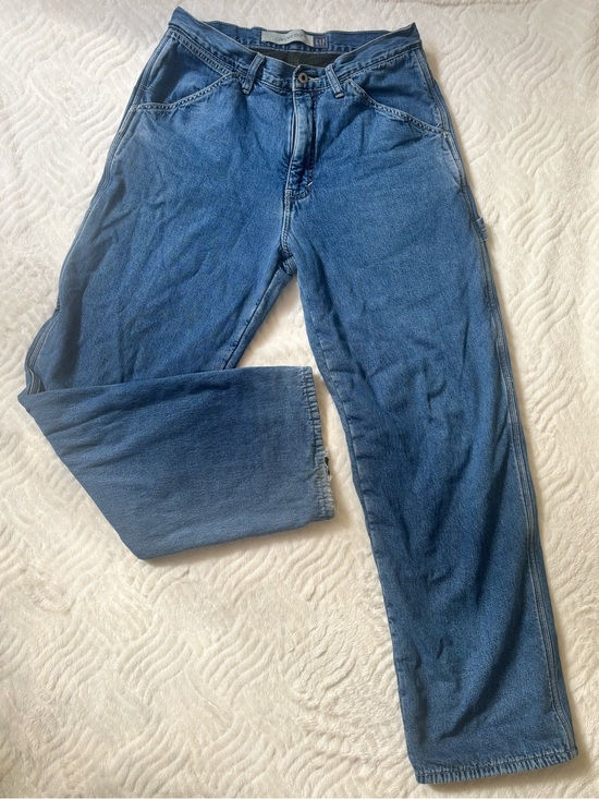 GAP | Jeans | Gap Mens Carpenter Blue Denim Jeans | Poshmark